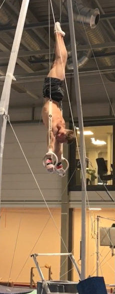 NGTF videobank - BRIK